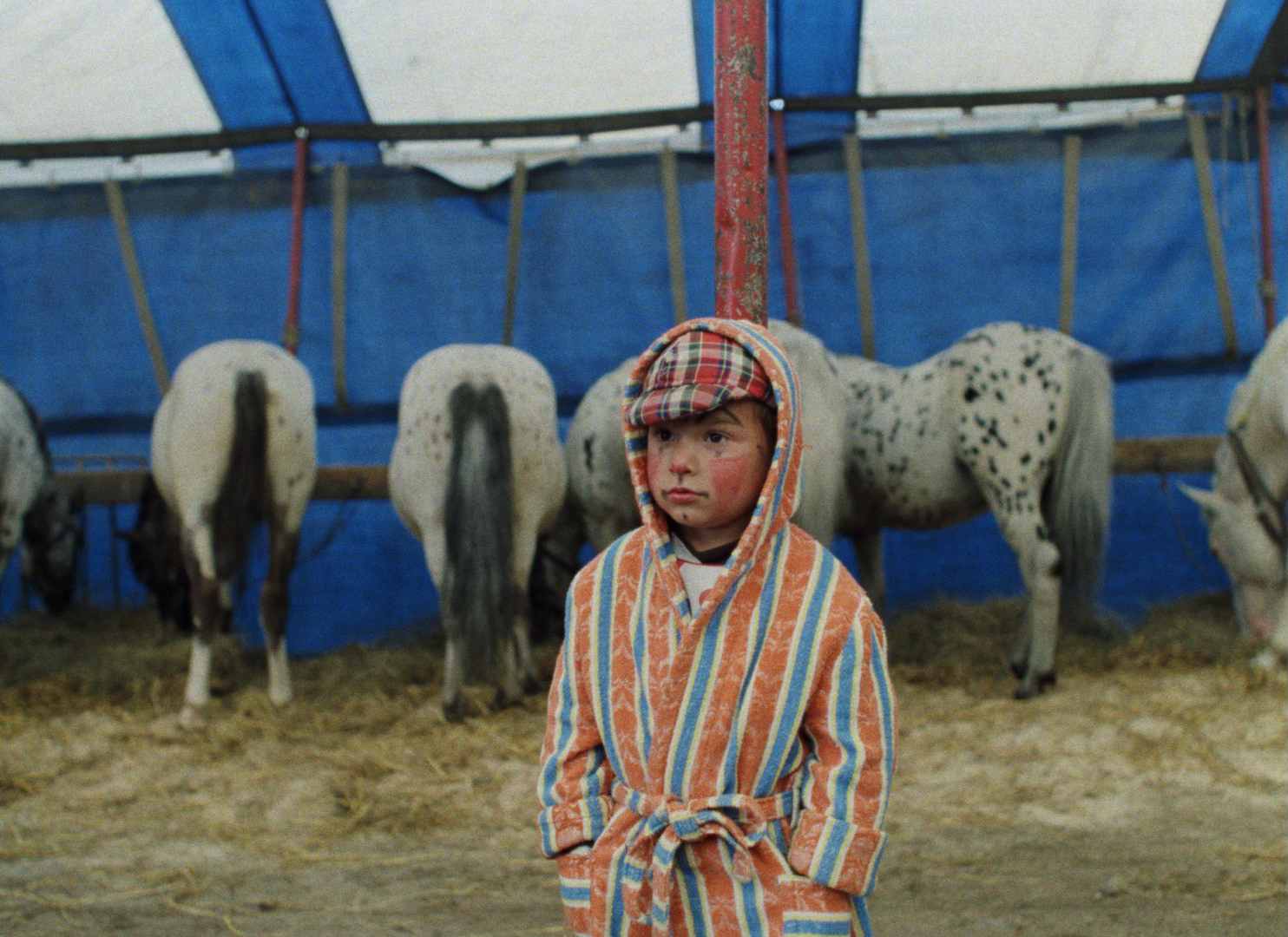 Filmdetails: Der Zirkus kommt (1985) - DEFA - Stiftung